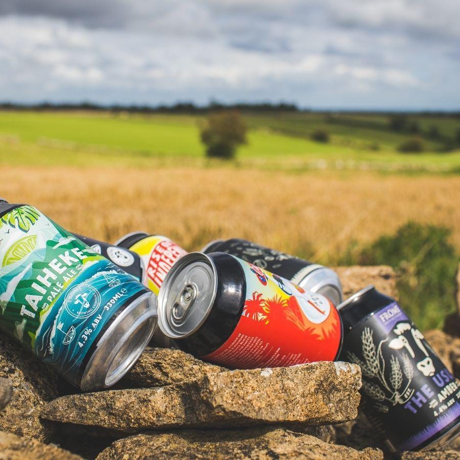 Try a mixed case of 330ml cans – Frome Brewing Company